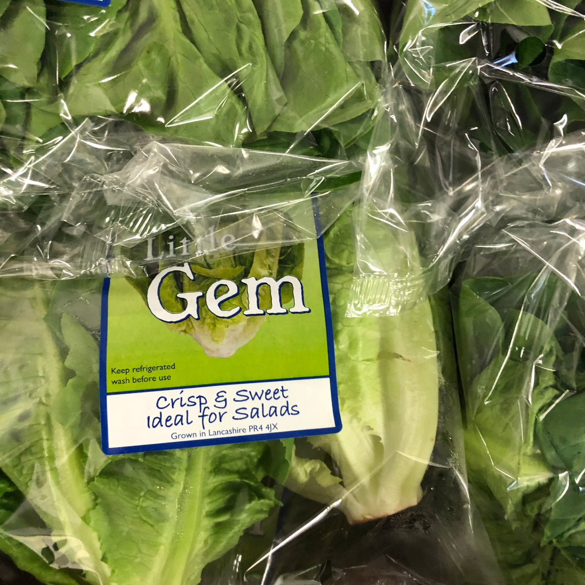 Little Gem Lettuce – Fresh Fields Foods