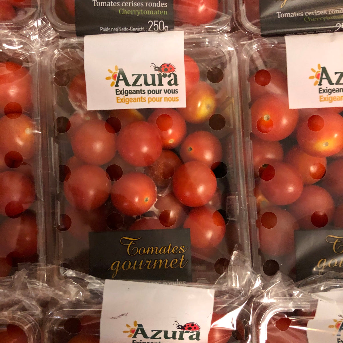 Cherry Tomatoes (250g punnet) – Fresh Fields Foods