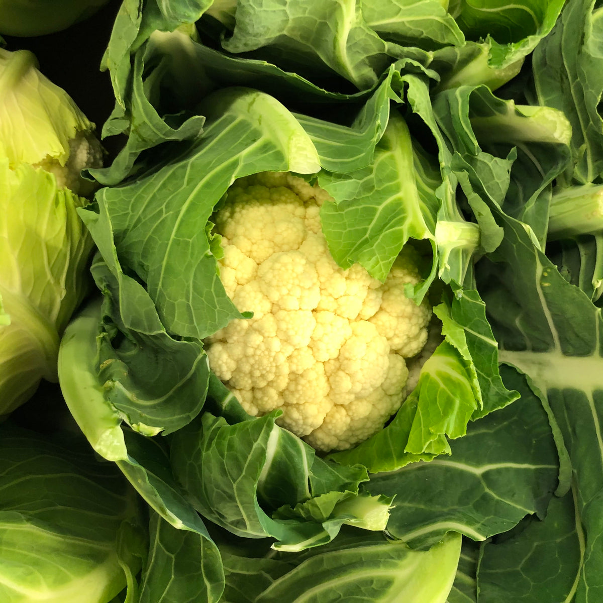 Cauliflower – Fresh Fields Foods