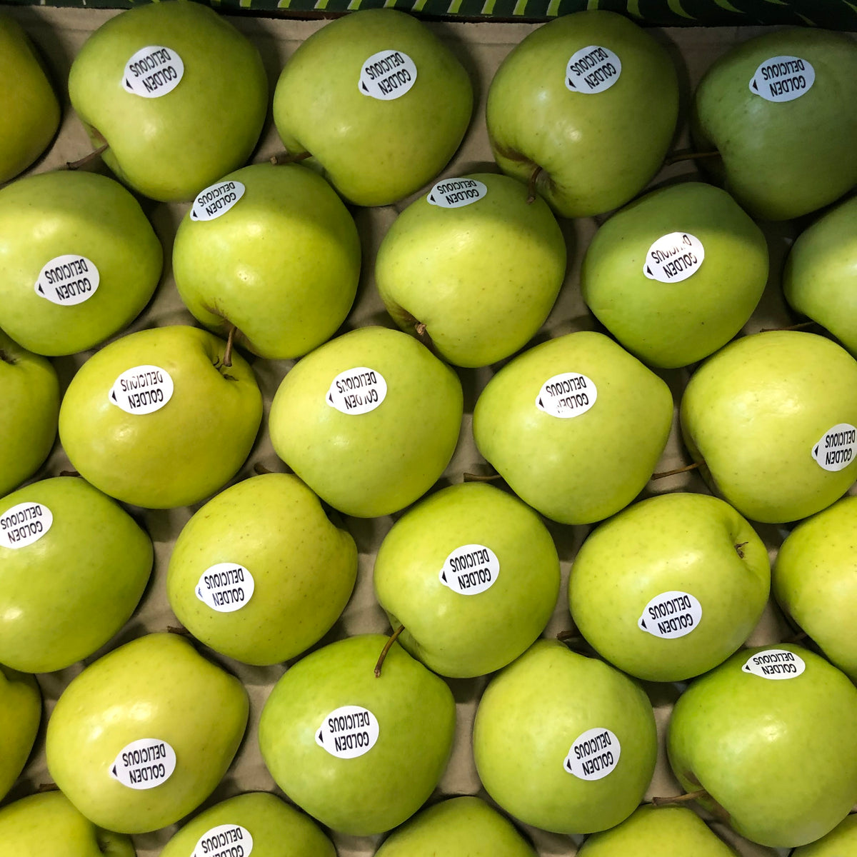 Golden Delicious Apple – Fresh Fields Foods