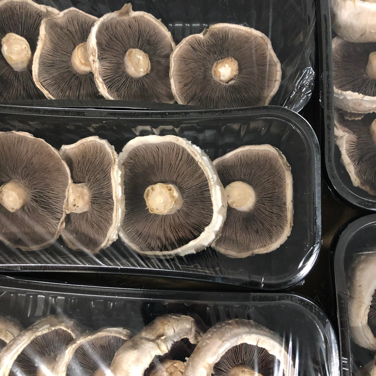 Punnet of Flat Mushrooms (approx five per pack) – Fresh Fields Foods