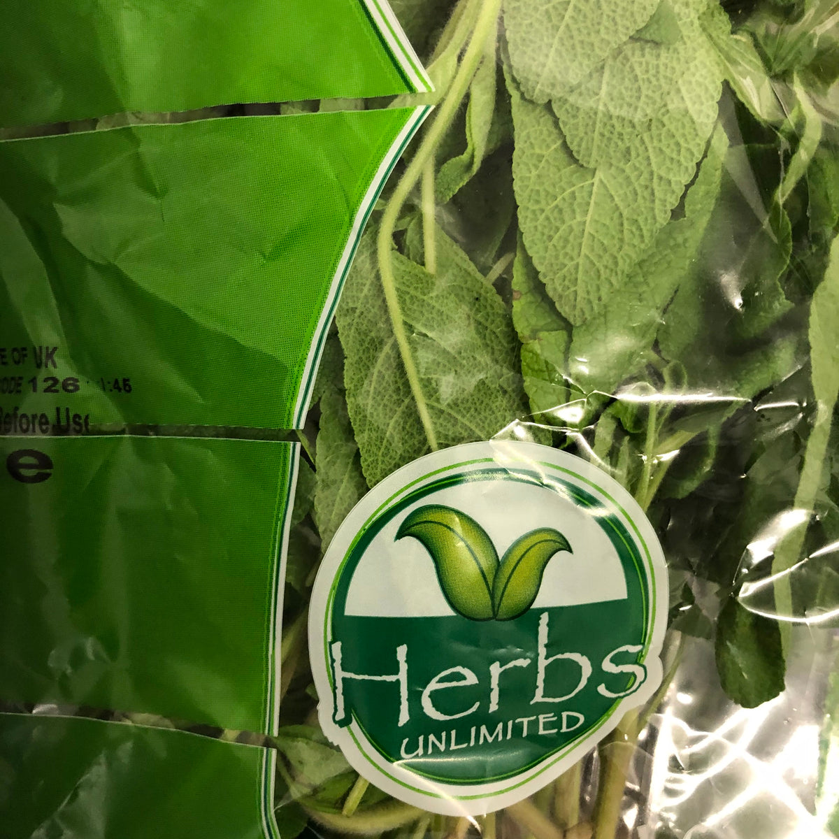 Sage (100g bag) – Fresh Fields Foods