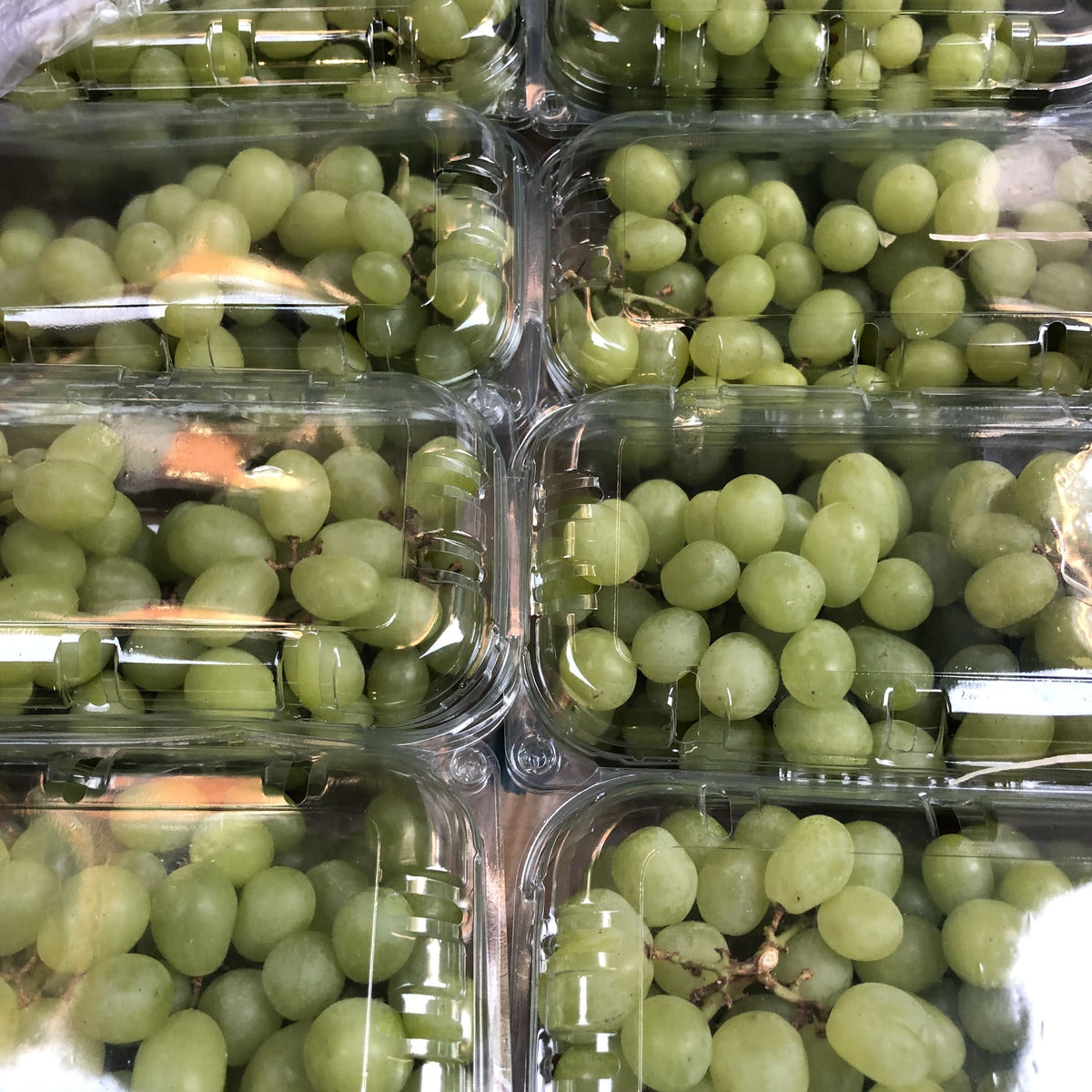 Green Grapes (500g punnet) – Fresh Fields Foods