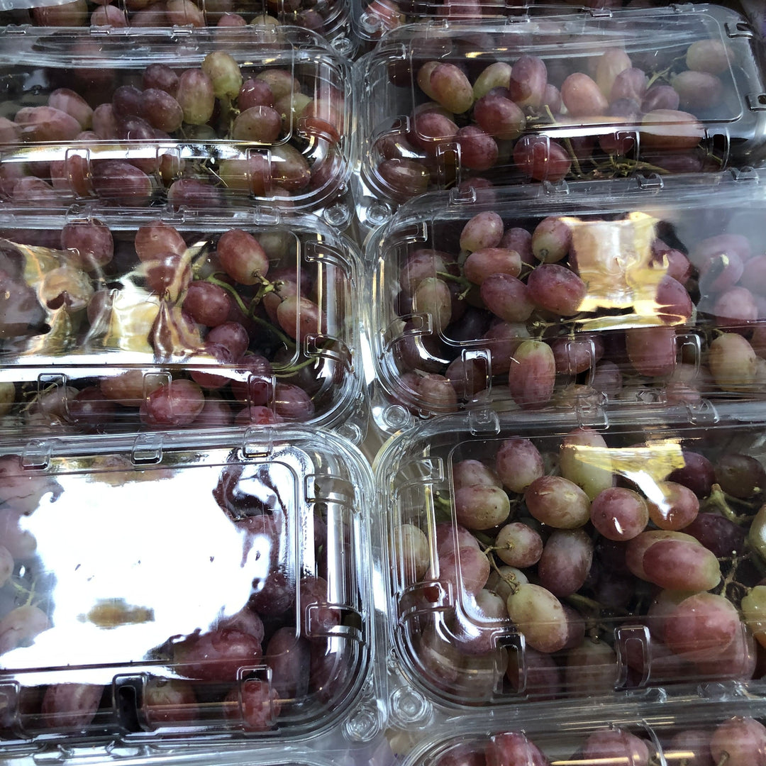Red Grapes (500g punnet) – Fresh Fields Foods